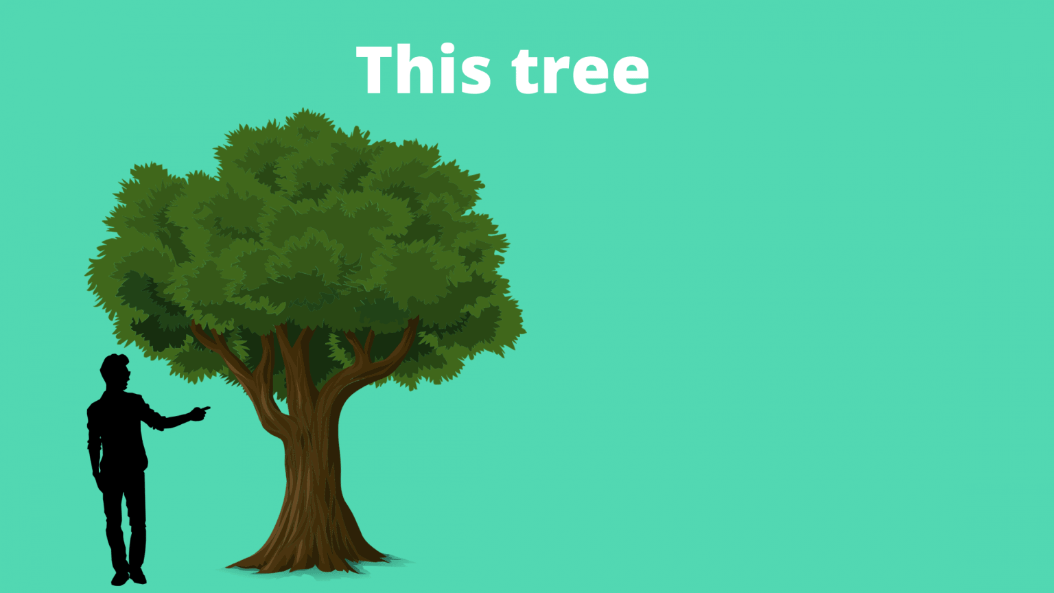 This, That, These, Those (Example Sentences) - One Minute English