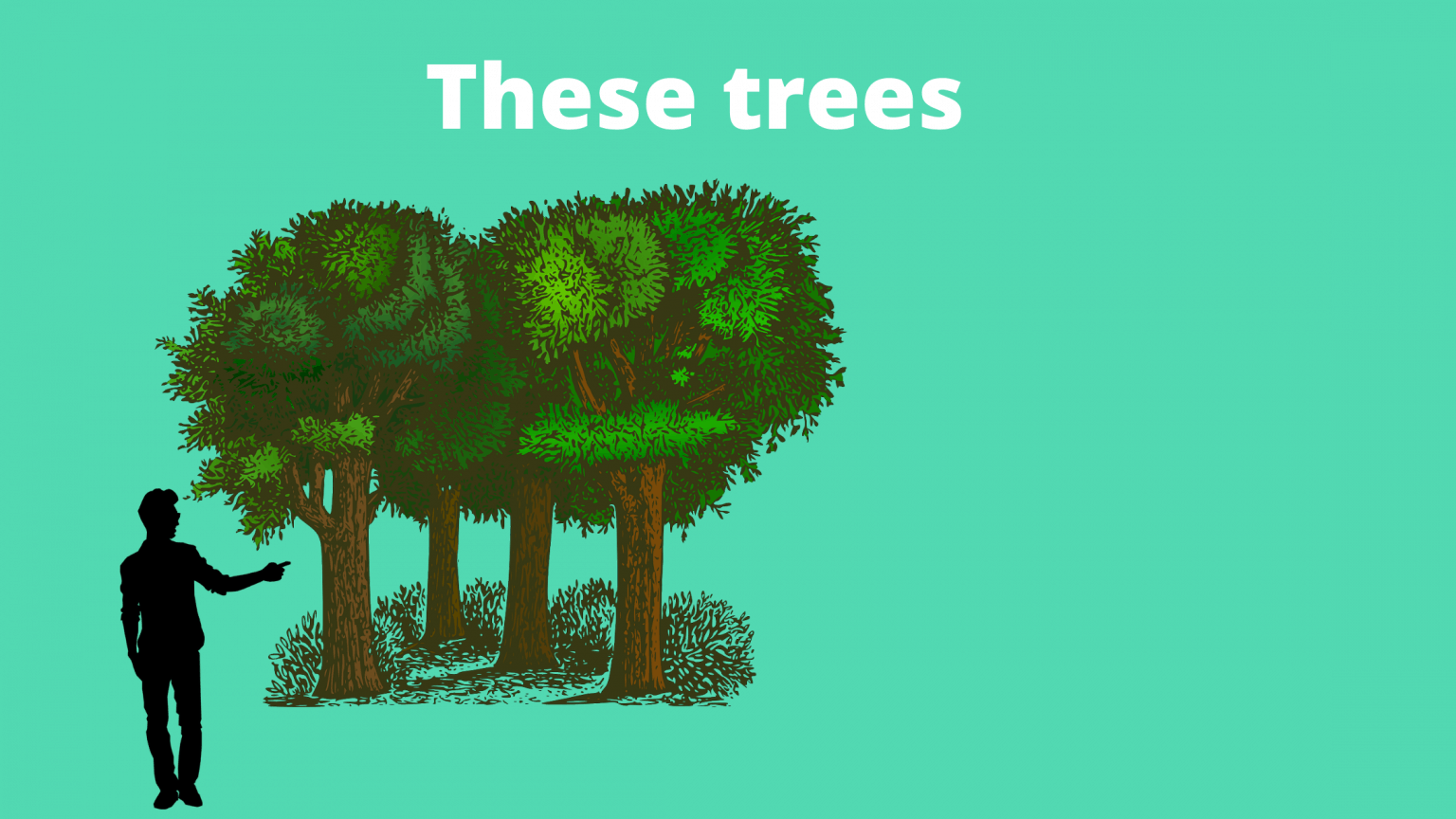 This, That, These, Those (Example Sentences) - One Minute English