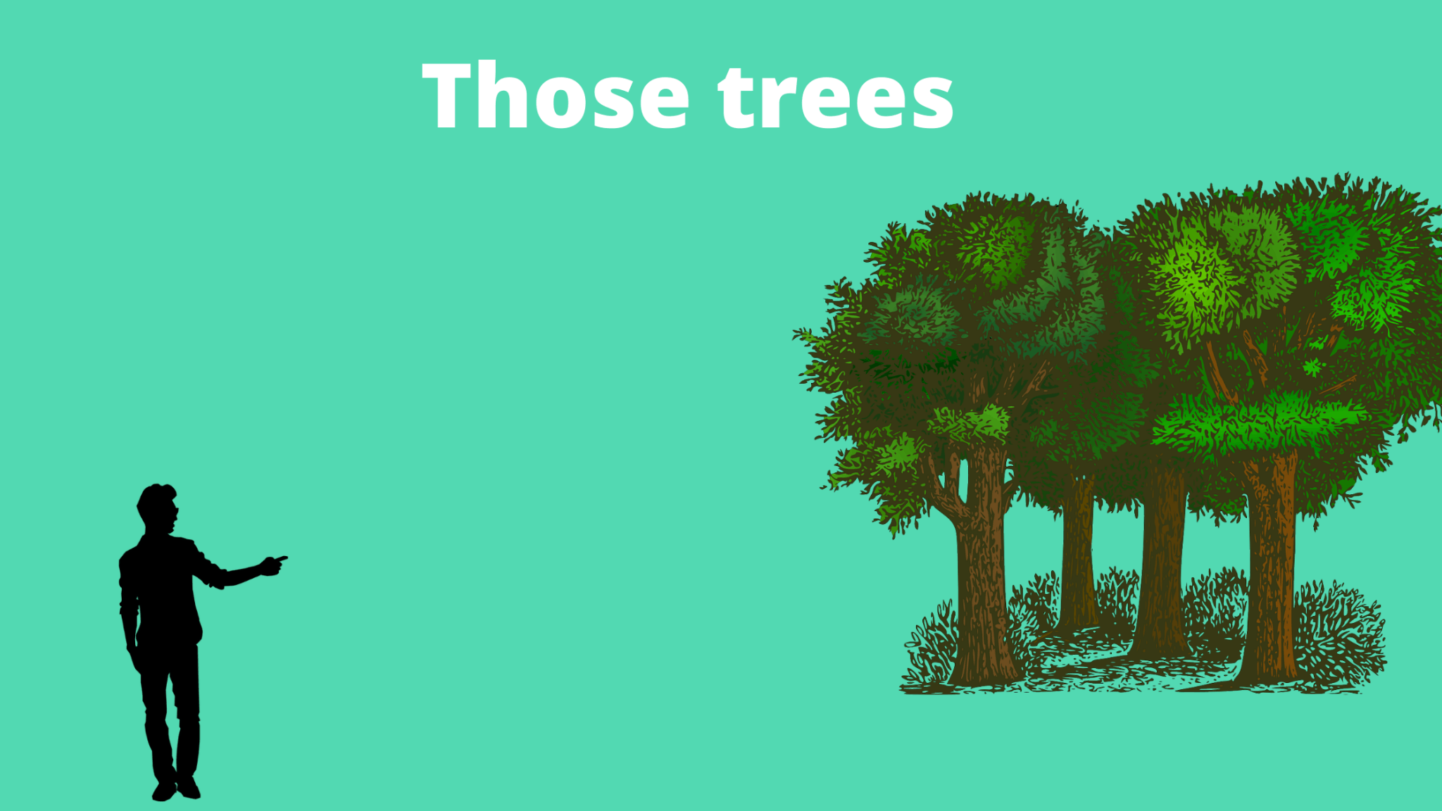 This, That, These, Those (Example Sentences) - One Minute English