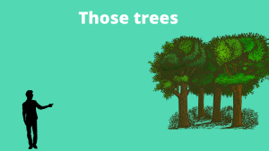 This, That, These, Those (Example Sentences) - One Minute English