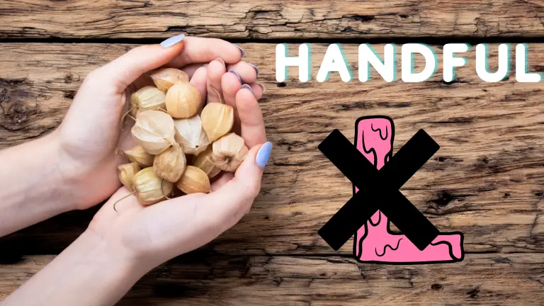 Handful or Handfull? Which is correct? - One Minute English