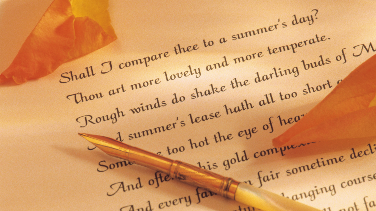 What is a Comma Splice? (And How to Use It) - One Minute English