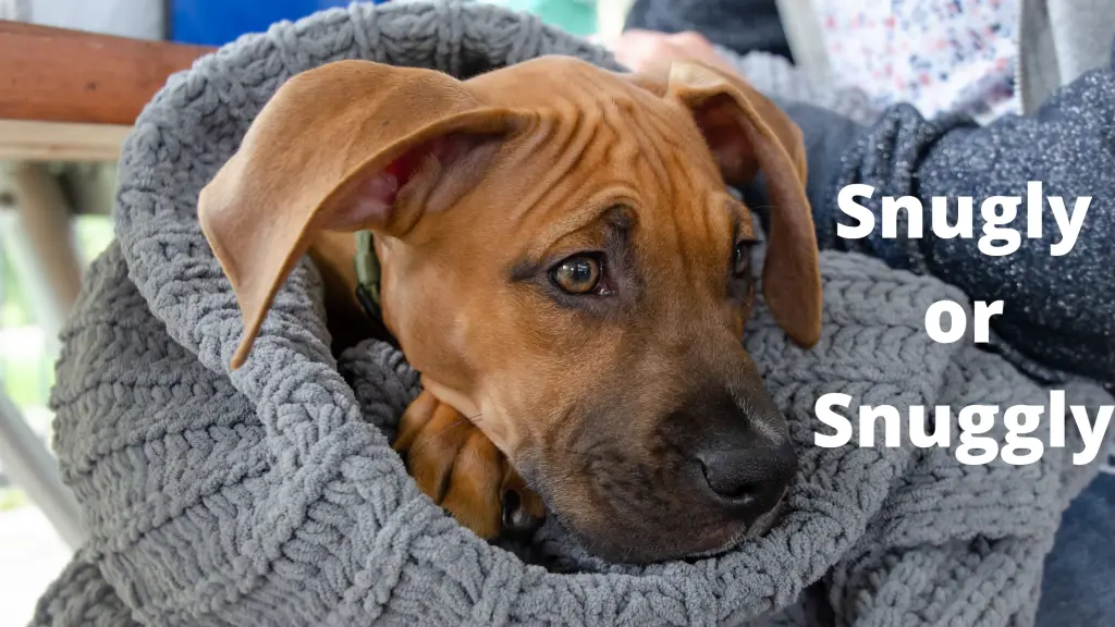 Snugly or Snuggly? What’s the difference in meaning? - One Minute English