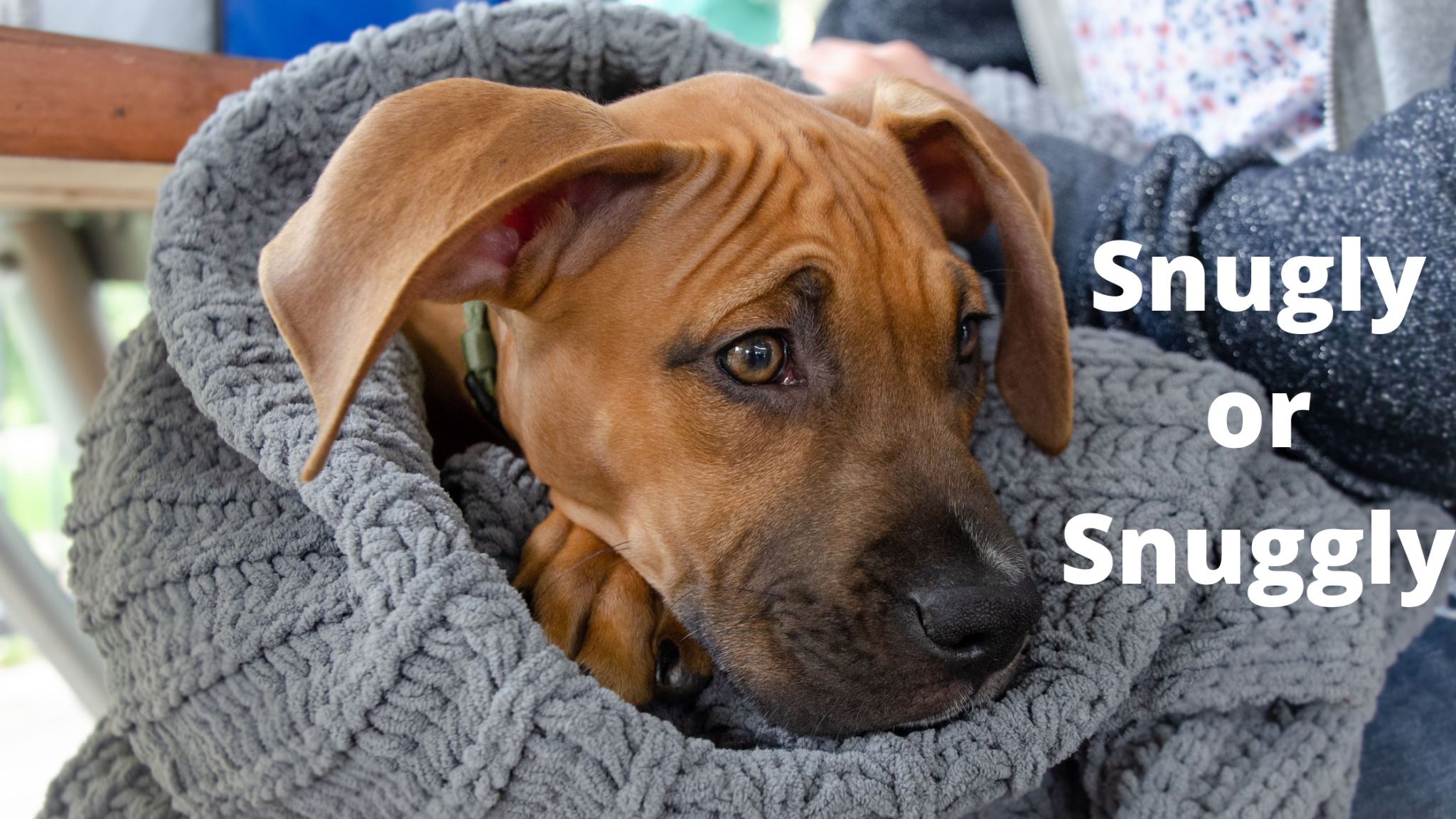 Snugly or Snuggly? What’s the difference in meaning? - One Minute English